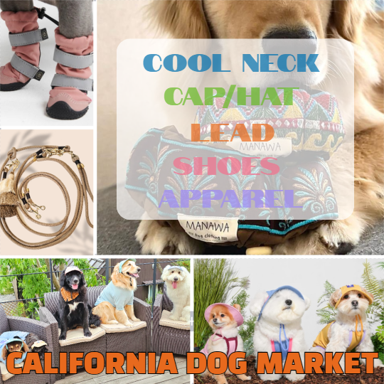 CALIFORNIA DOG MARKET | わんてらす | わんこと一緒に地域を盛り上げる