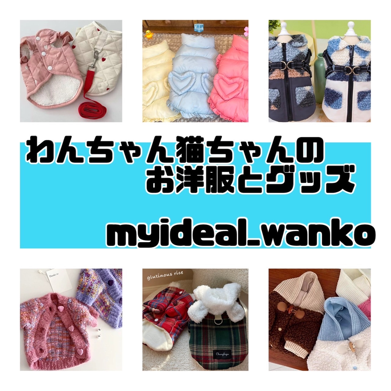 myideal_wanko | わんてらす | わんこと一緒に地域を盛り上げる